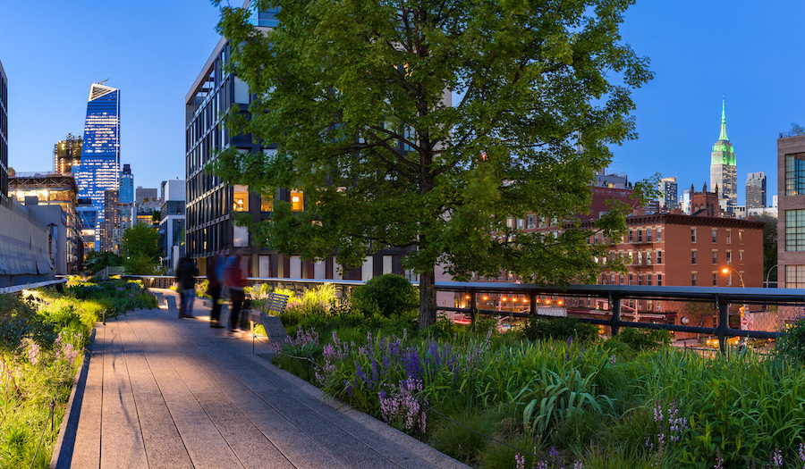 Visiting the High Line in NYC
